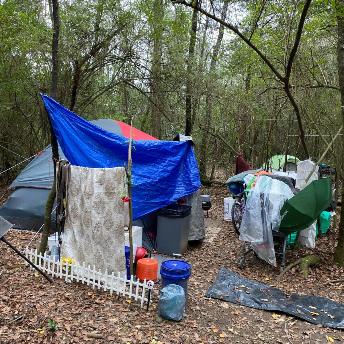 Supportive Services for Veterans and Families (SSVF) - HOPE for All ...